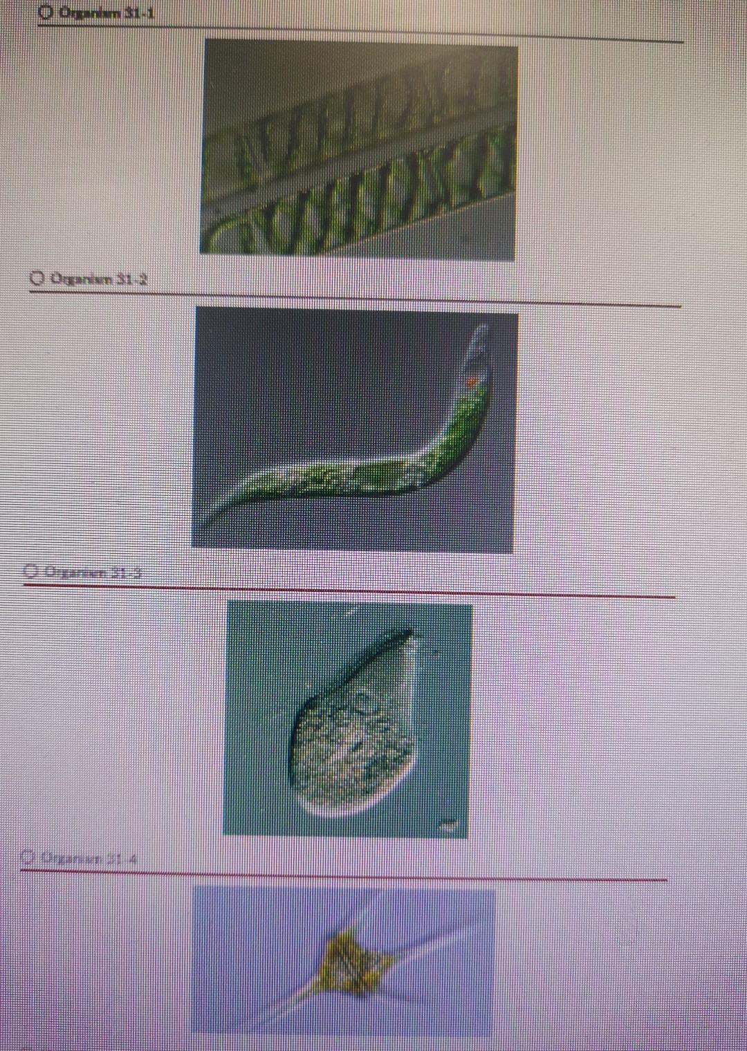 Solved 1. What are the similarities and differences between | Chegg.com