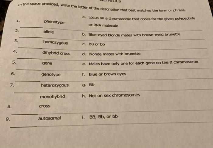 Solved In the space provided, write the letter of the | Chegg.com