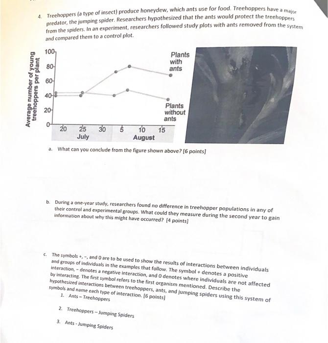 Solved Treehoppers (a type of insect) produce honeydew, | Chegg.com