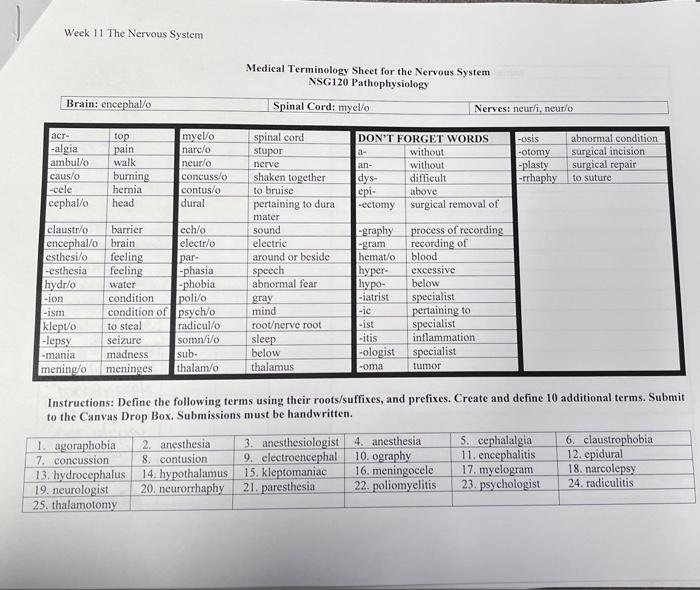 Solved define the following terms using roots, suffixes, and | Chegg.com