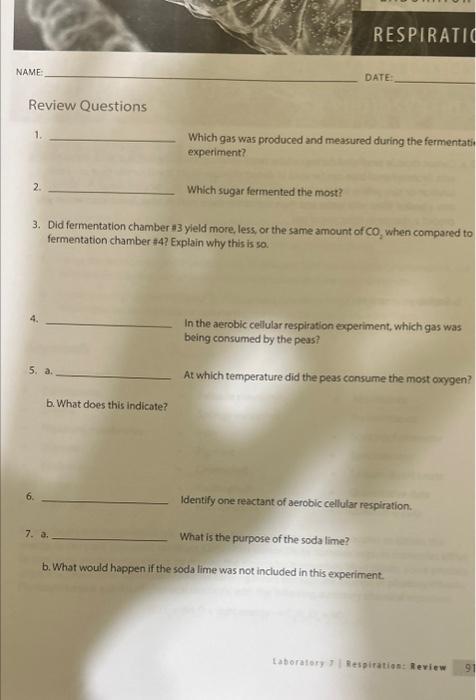 Solved Procedure 7.2 Measuring O2 Consumption During Aerobic | Chegg.com