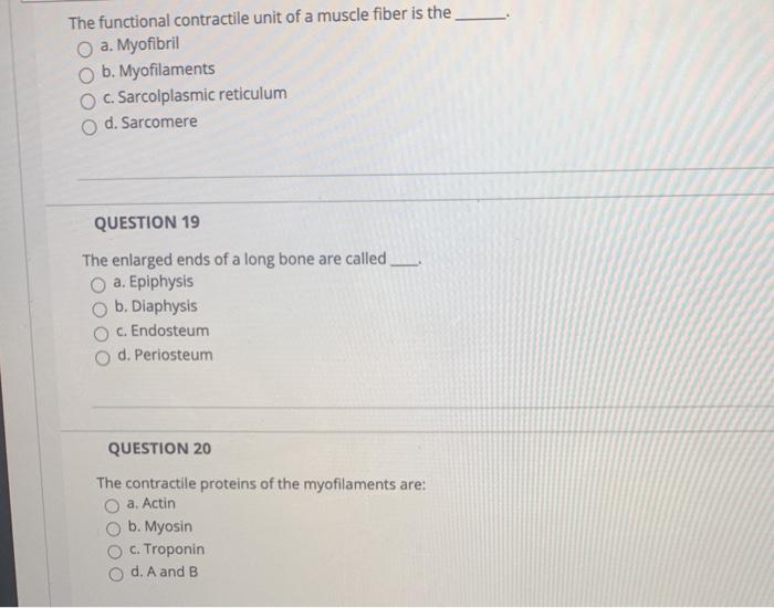Solved The functional contractile unit of a muscle fiber is | Chegg.com
