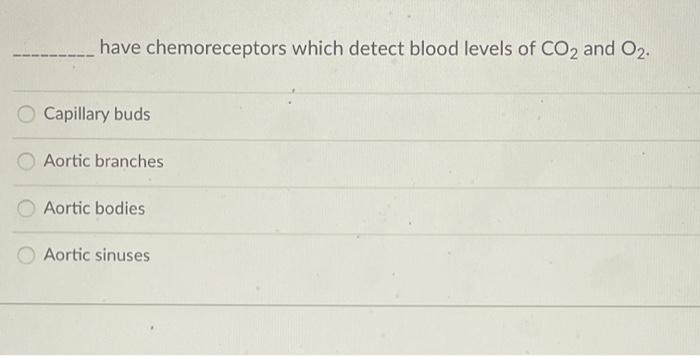 Solved have chemoreceptors which detect blood levels of CO2 | Chegg.com