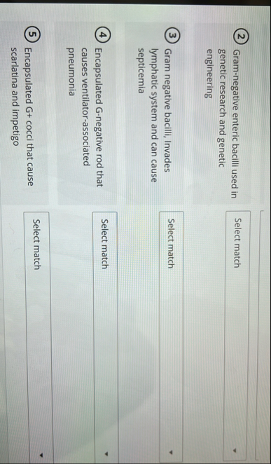 Solved (2) ﻿Gram-negative enteric bacilli used in genetic | Chegg.com