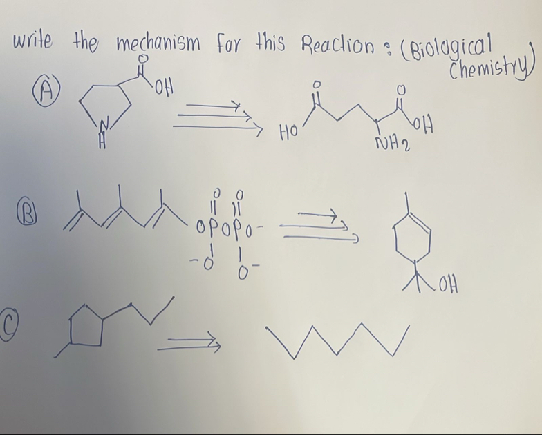 Solved write the mechanism for this Reaction: (Biological(A) | Chegg.com