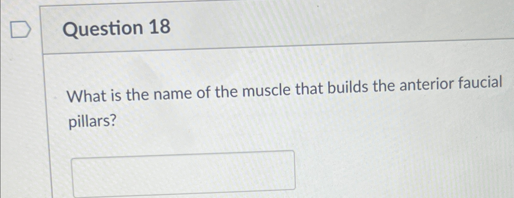 Solved Question 18What is the name of the muscle that builds | Chegg.com