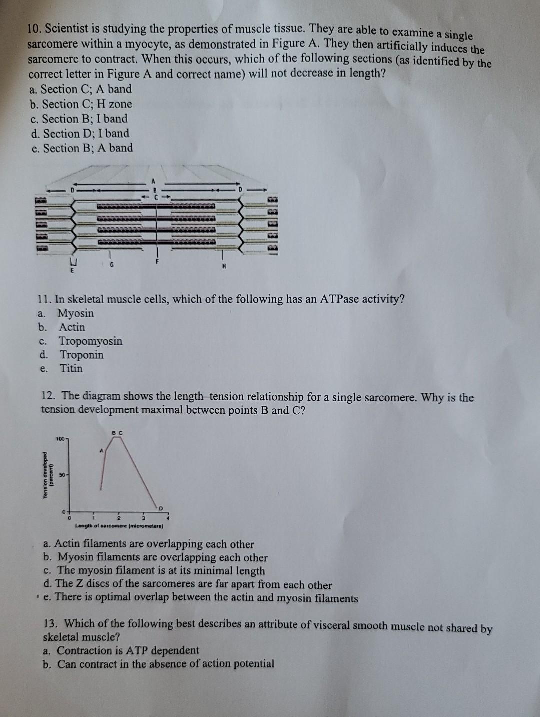 Solved 1. Trace A represents a typical action potential | Chegg.com