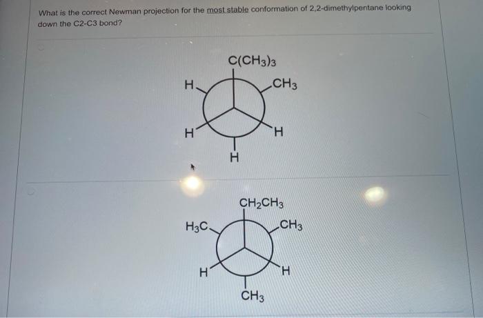 Solved What is the correct Newman projection for the most | Chegg.com