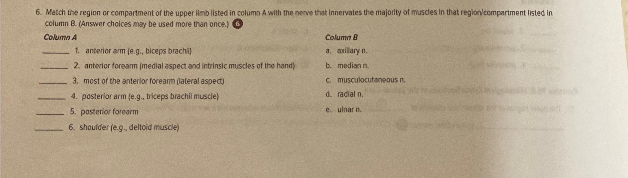 Solved Match the region or compartment of the upper limb | Chegg.com