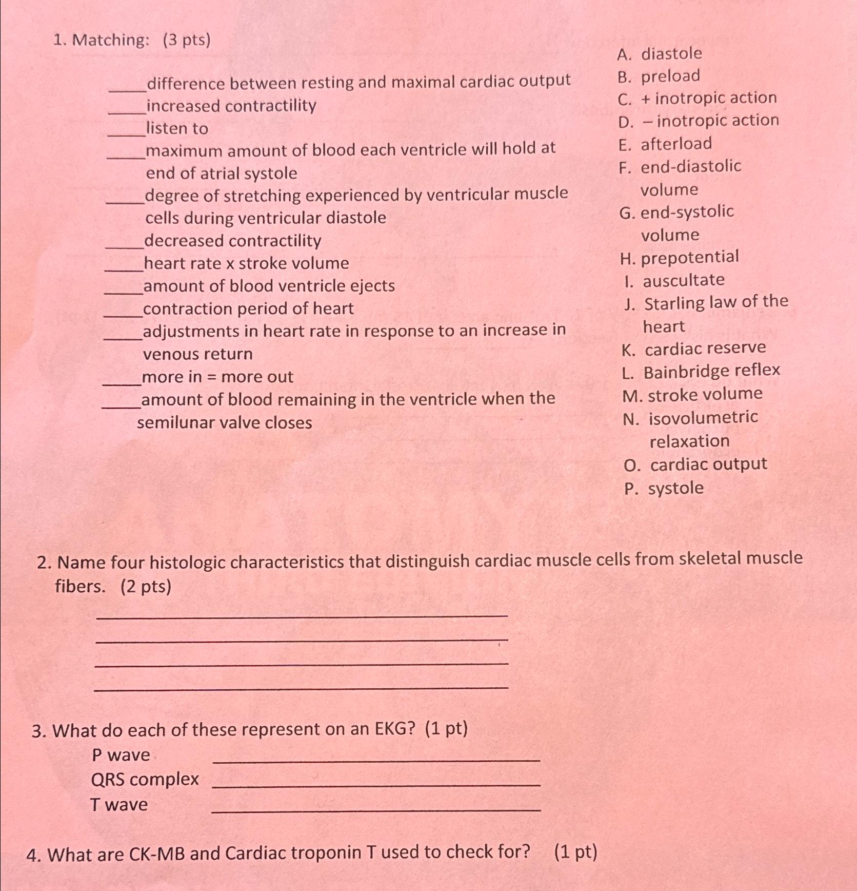Solved Matching: ( 3 ﻿pts)difference between resting and | Chegg.com