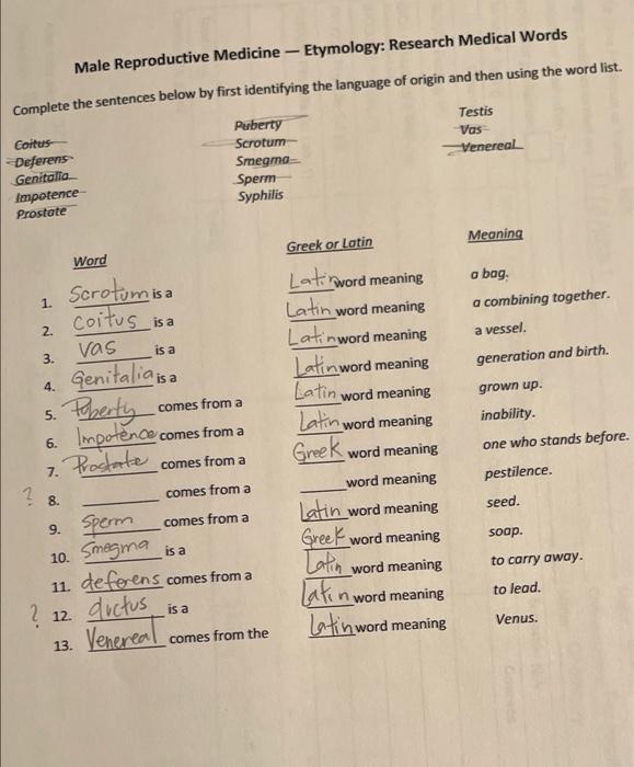 Solved Male Reproductive Medicine - Pronouncing, Spelling, | Chegg.com