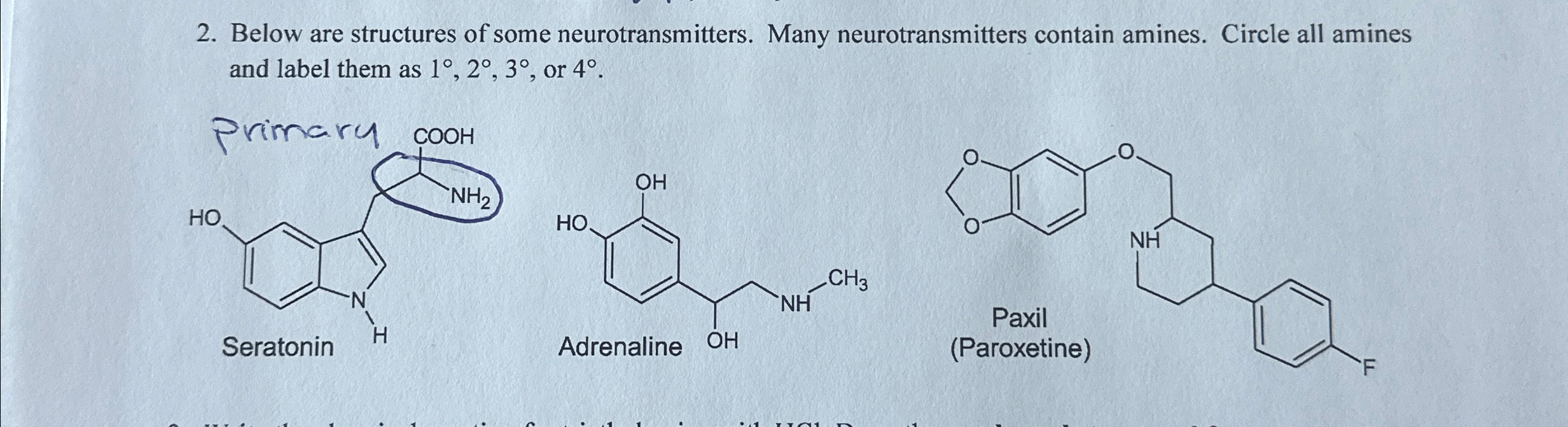 Solved Below are structures of some neurotransmitters. Many | Chegg.com