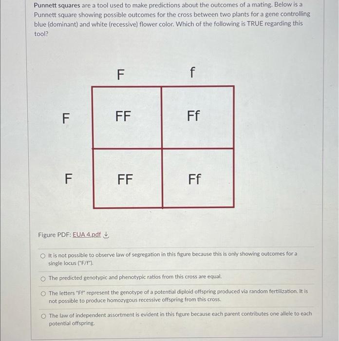 Solved Punnett squares are a tool used to make predictions | Chegg.com