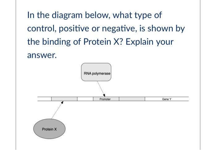 Solved In the diagram below, what type of control, positive | Chegg.com