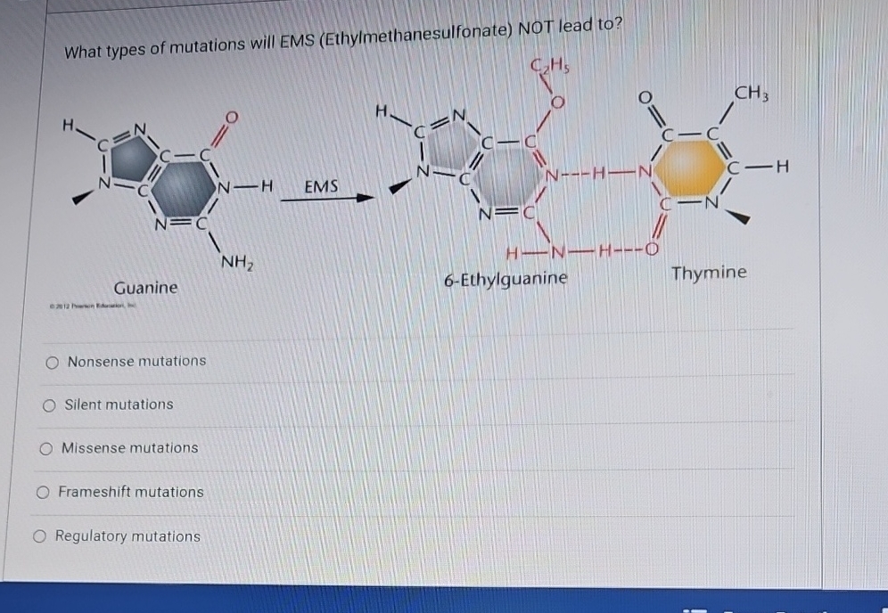 Solved What types of mutations will EMS | Chegg.com
