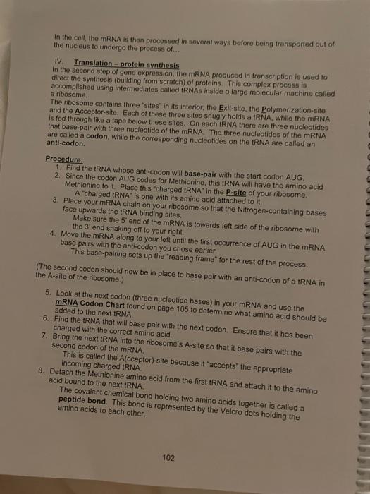Solved LAB 7 DNA Structure and Gene Expression Oblectives: | Chegg.com