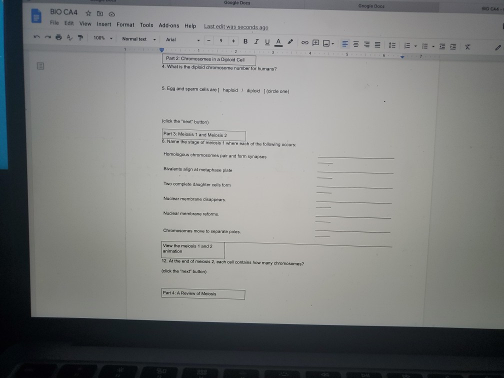 Solved OL docs.google.com P Google Docs Google Docs BIO CA | Chegg.com