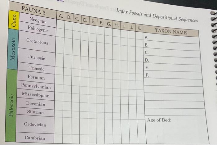 Index Fossils and Depositional Sequences FAUNA 3 | Chegg.com