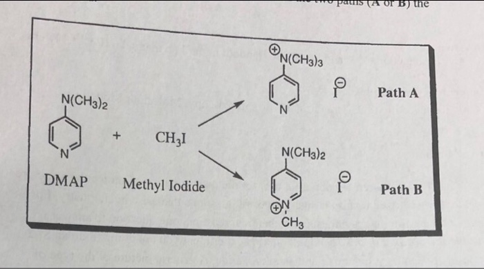 Solved What would the 13C and 1H NMR spectra DMAP look like | Chegg.com