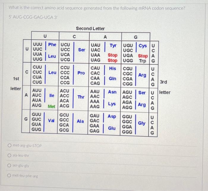 Solved What is the correct amino acid sequence generated | Chegg.com