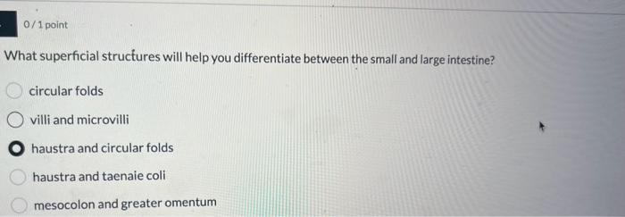 Solved What superficial structures will help you | Chegg.com