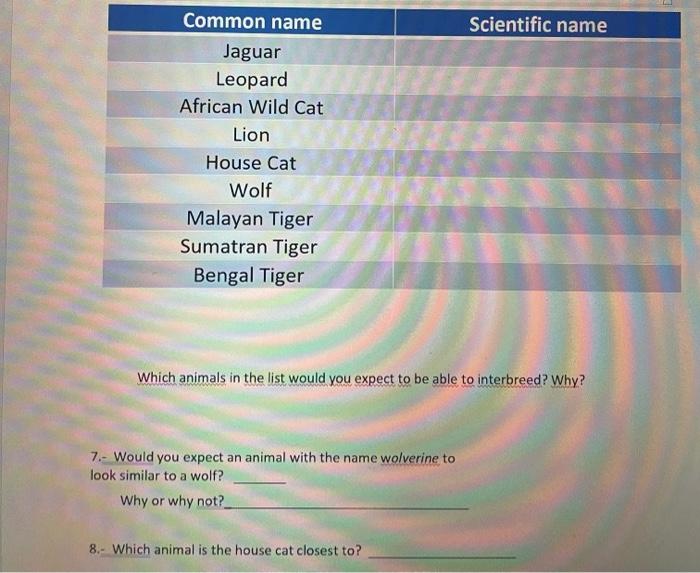 Solved 2.- Name the main differences between Archaebacteria | Chegg.com