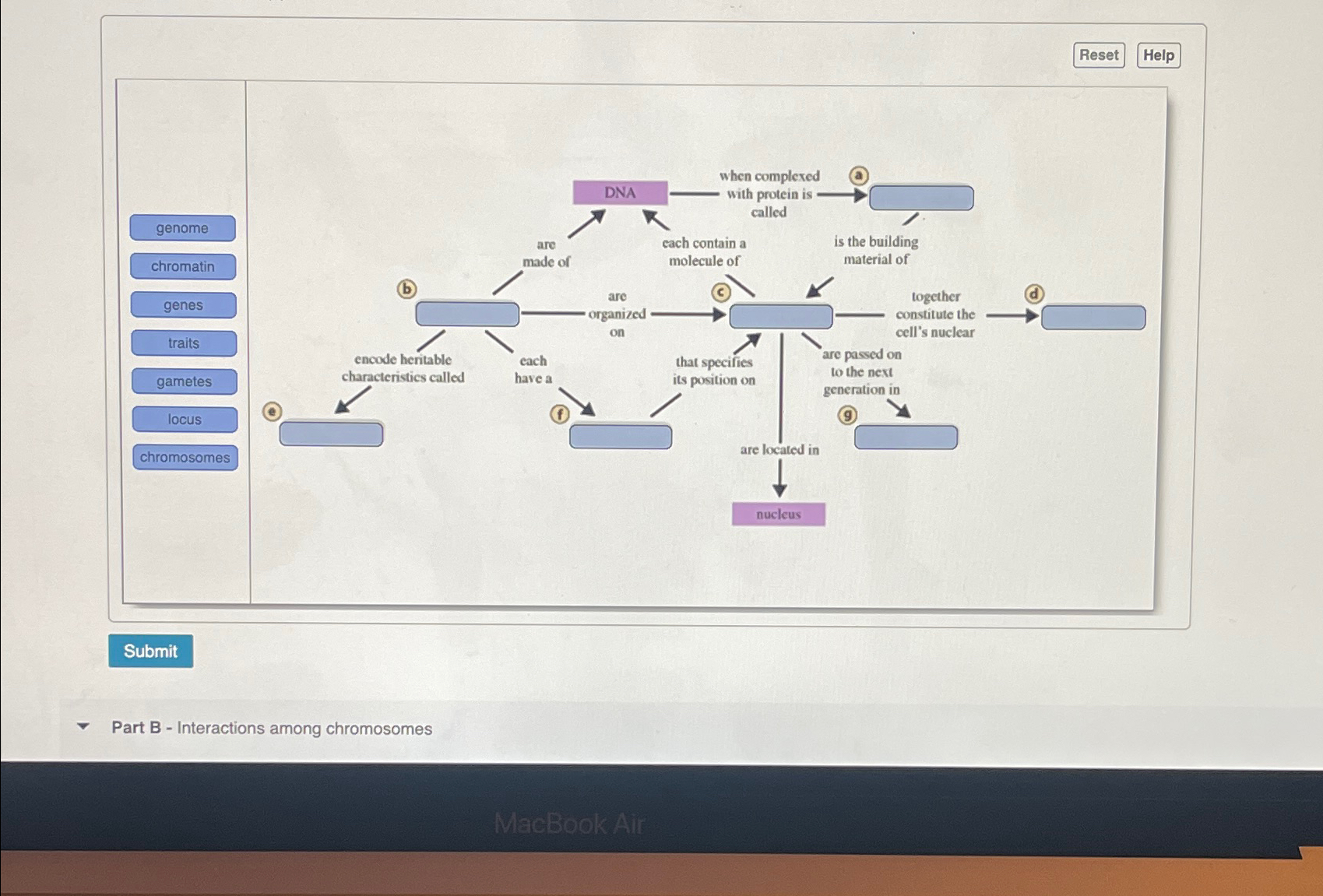 HelpPart B - ﻿Interactions among chromosomes | Chegg.com