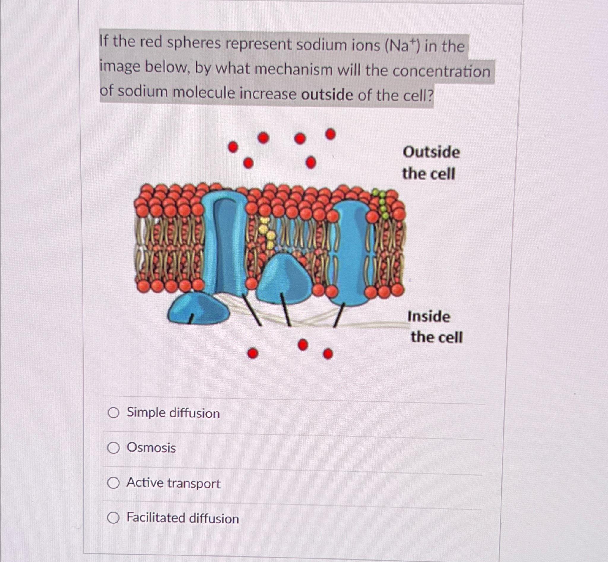 Solved If the red spheres represent sodium ions (Na+)in the | Chegg.com