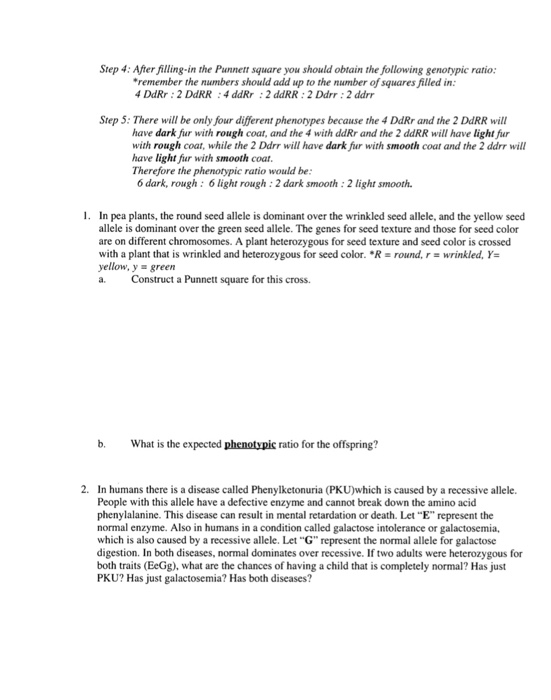 Solved Genetics Worksheet Part 1 Introduction: 1. Describe | Chegg.com