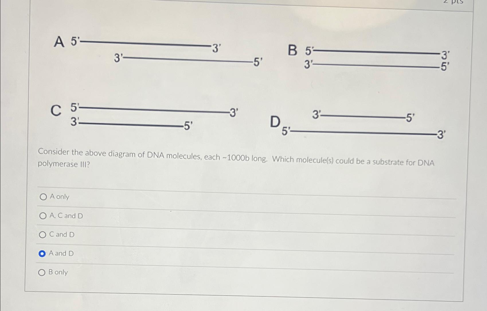 Solved A 5BC 5'-?-?'Consider the above diagram of DNA | Chegg.com