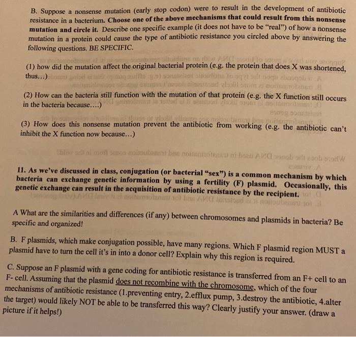 B. Suppose a nonsense mutation (early stop codon) | Chegg.com