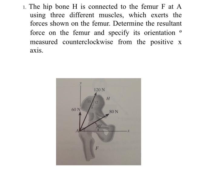 Solved 1. The hip bone H is connected to the femur F at A | Chegg.com