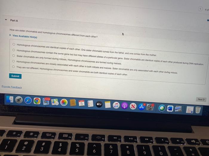Solved Which of the following correctly matches a phase of | Chegg.com