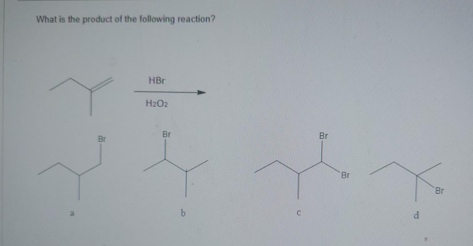 Solved What is the product of the following reaction? HBr | Chegg.com