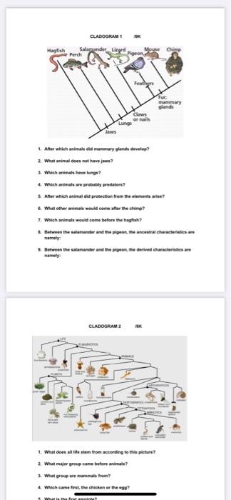 Solved CLADOGRAM 1 Hagfish Salamander Lizard Perch Feathers | Chegg.com