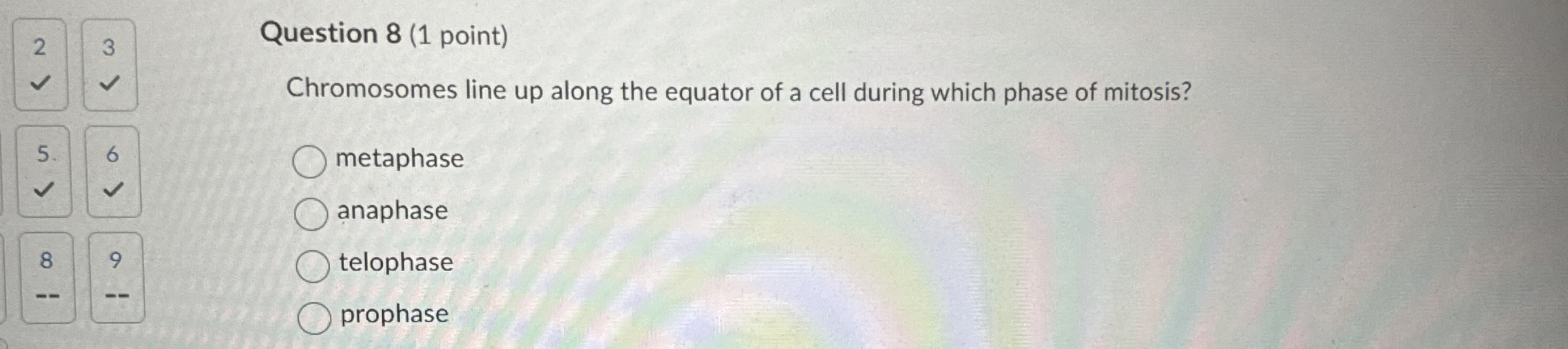 Solved 23Question 8 (1 ﻿point)Chromosomes line up along the | Chegg.com