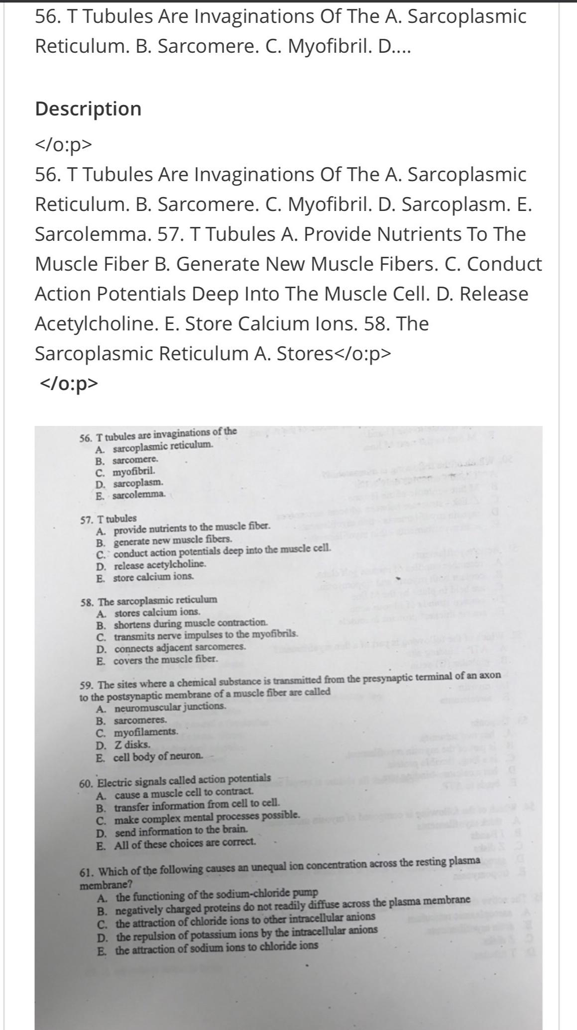 Solved T Tubules Are Invaginations Of The A. ﻿Sarcoplasmic | Chegg.com