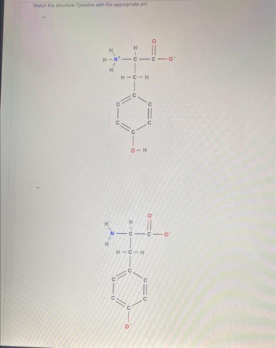 Solved Name the polypeptideMatch the structure Tyrosine with | Chegg.com