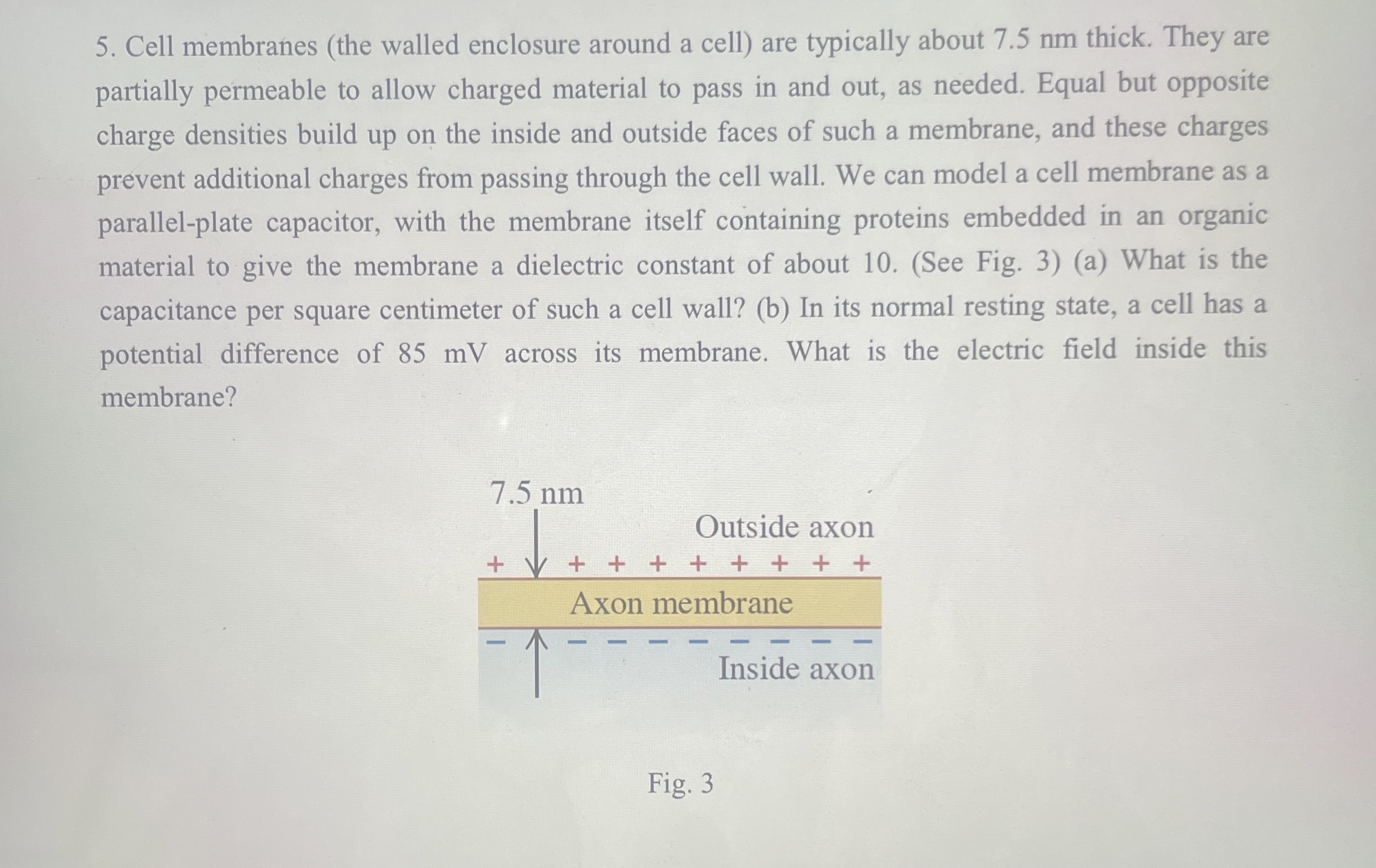 Solved Cell membranes (the walled enclosure around a cell) | Chegg.com