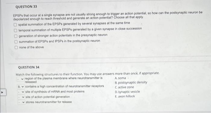 Solved QUESTION 33 EPSPs that occur at a single synapse are | Chegg.com