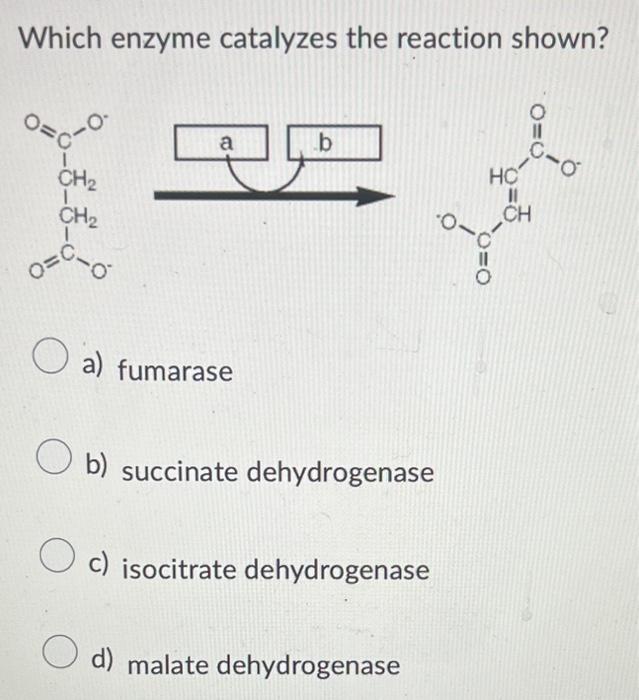 Solved Which enzyme catalyzes the reaction shown? a) | Chegg.com