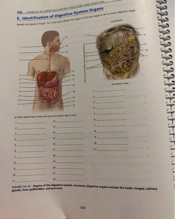 Name Section Date Reviewing Your Knowieige EXERC ISE | Chegg.com
