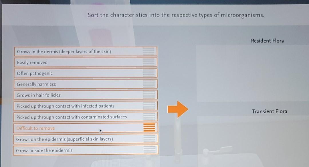 Solved Sort the characteristics into the respective types of | Chegg.com