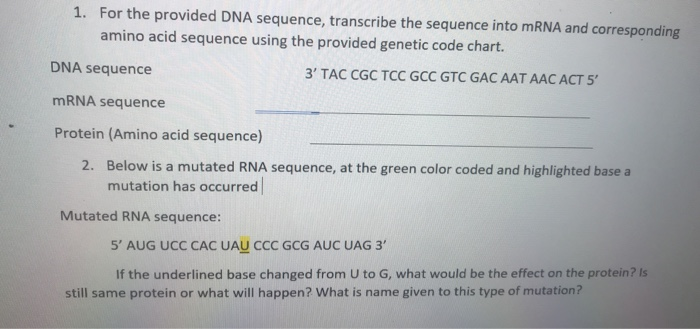Solved 1. For the provided DNA sequence, transcribe the | Chegg.com