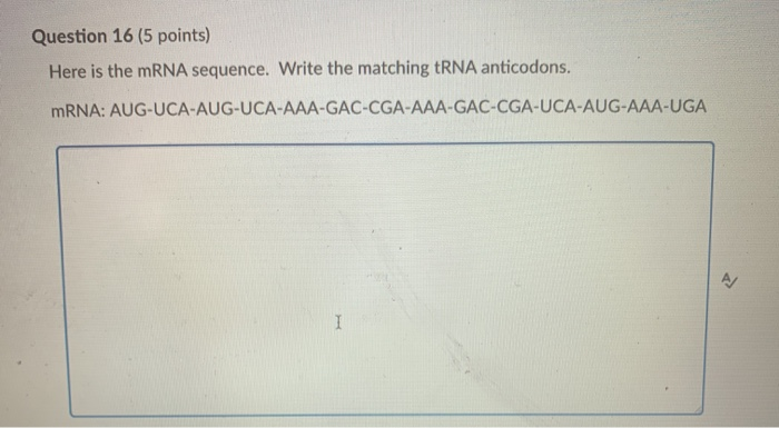 Solved Question 16 (5 points) Here is the mRNA sequence. | Chegg.com Solved Question 16 (5 points) Here is the mRNA sequence. | Chegg.com