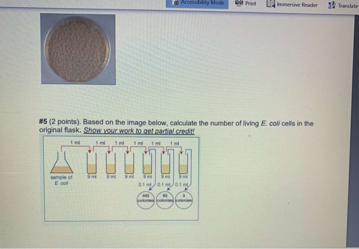 6) What is the advantage in plating duplicate or | Chegg.com