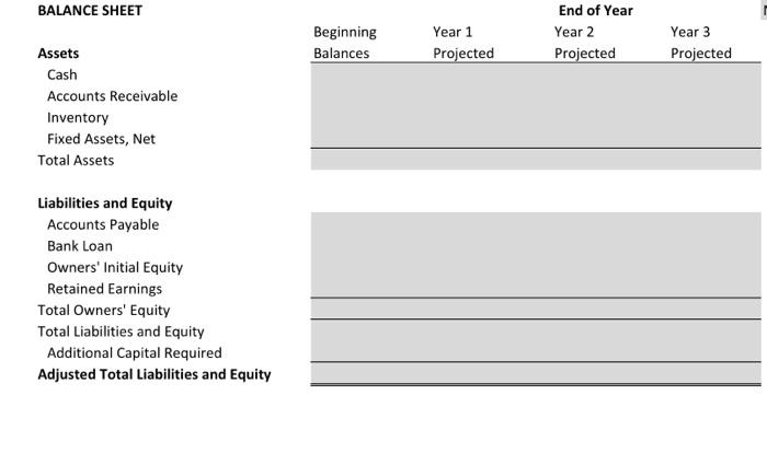 Solved o Step 2: Create starting balance sheet; year 1 | Chegg.com