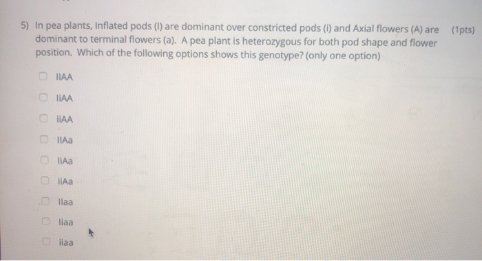 Solved (1pts) 5) In pea plants, Inflated pods (1) are | Chegg.com