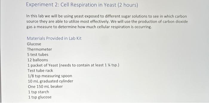 Solved Experiment 1: Catalase Activity Under Different | Chegg.com