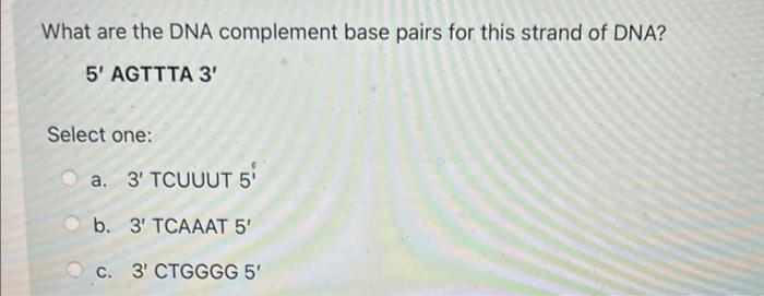 Solved What are the DNA complement base pairs for this | Chegg.com